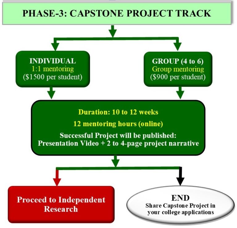 Emerging Innovators Research Program for High School Students